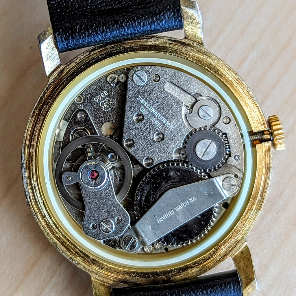 1960's DIANTUS Antimagnetic Watch Cal. EB 8800 Swiss Made Vintage Wris ...